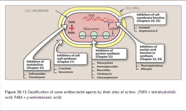 CONTROL OF MOS BY ANTIBIOTICS & OTHER CHEMOTHERAPEUTIC AGENTS..