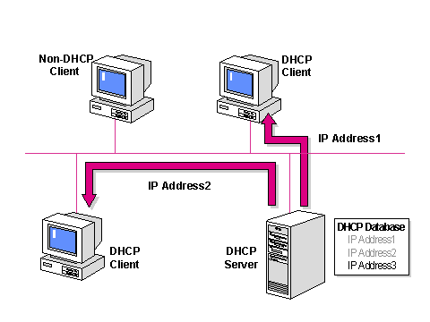 Definisi, Fungsi, Cara Kerja DHCP Lengkap | NoteFebs.com