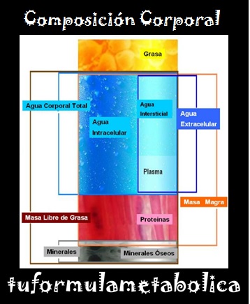 TU FORMULA METABOLICA