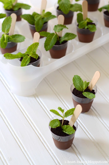 i heart baking!: potted plant chocolate puddings