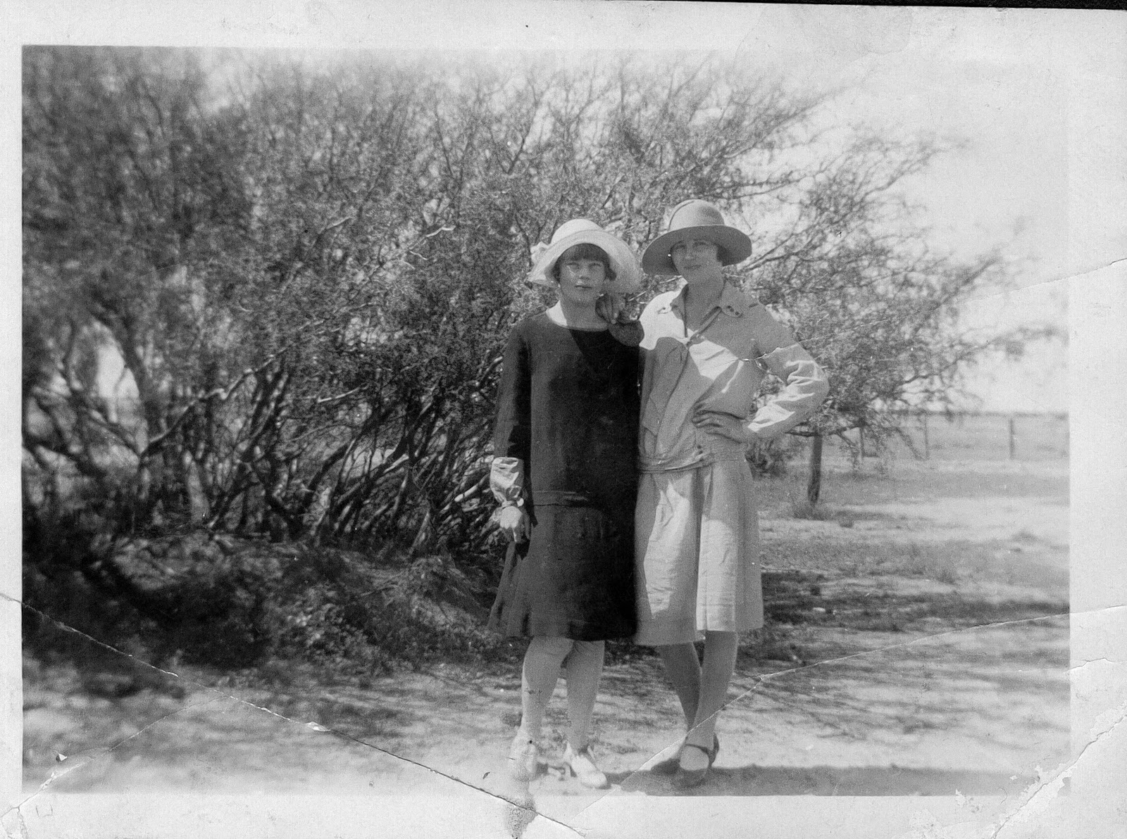 EDNA FAY LAWSON HOSKINS: EDNA FAY LAWSON HOSKINS