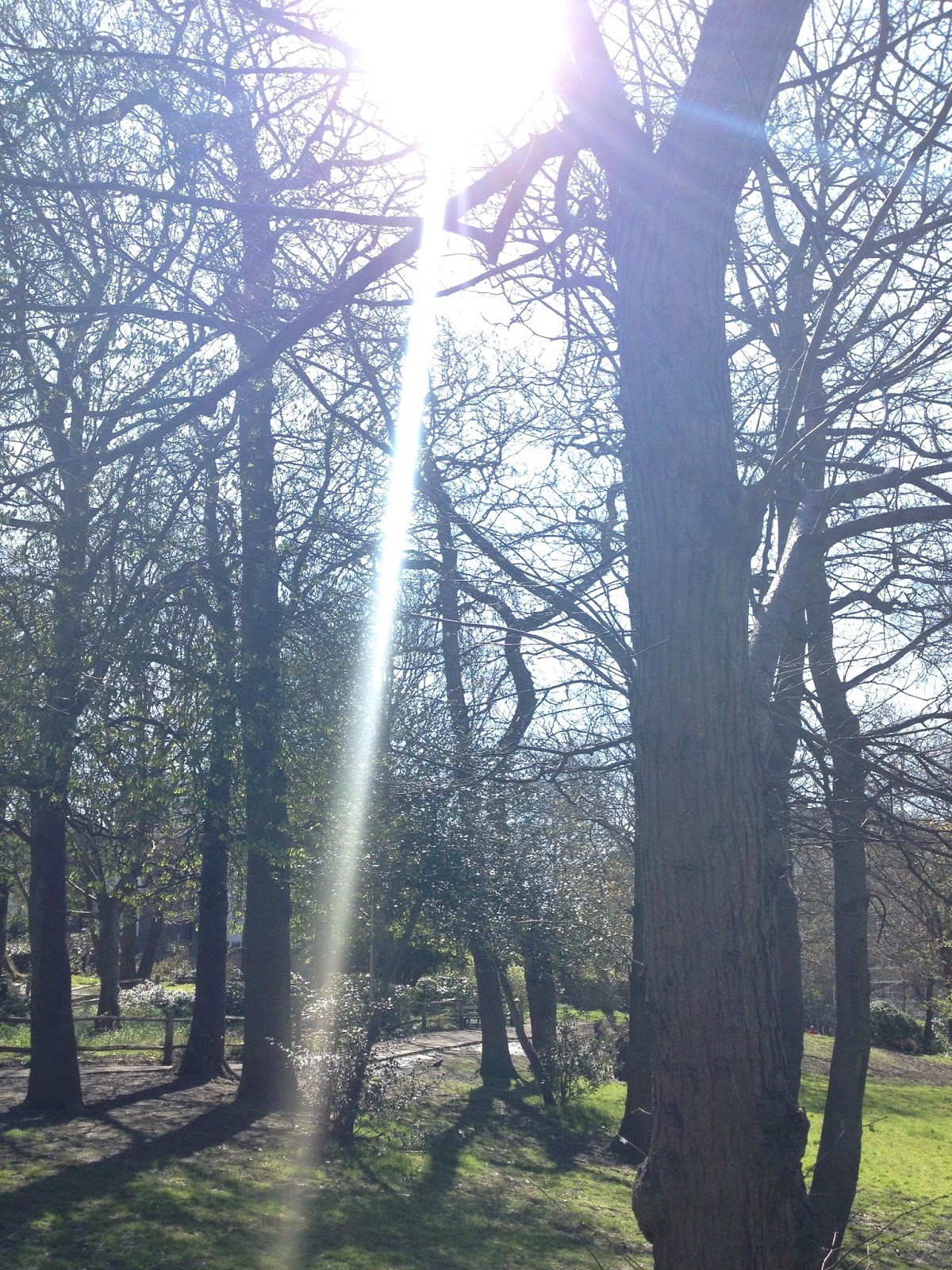 Saplings Classes in Brighton - Forest School Review | Polly and Pip