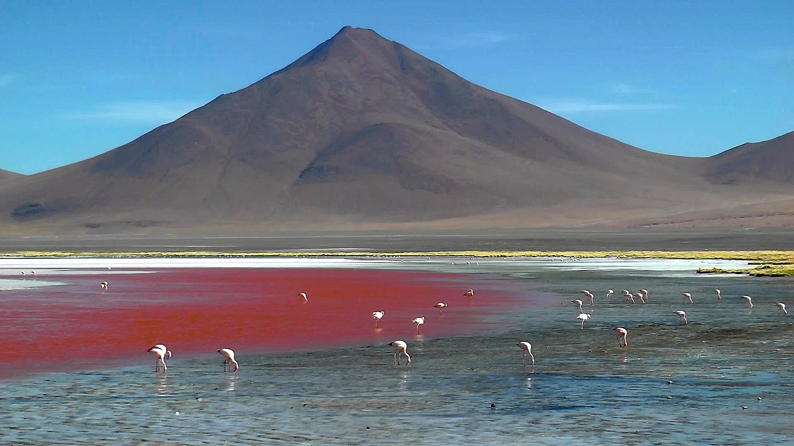 Desde la India 3: LA LAGUNA COLORADA EN LA RESERVA EDUARDO AVAROA (BOLIVIA)