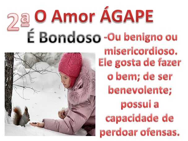 Ministério Internacional Consciência Cristã: As Características do Amor ...