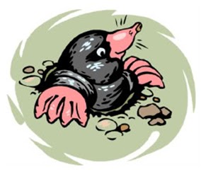 New and ...Improving?: Moley-Moley-Moley NO MORE!!