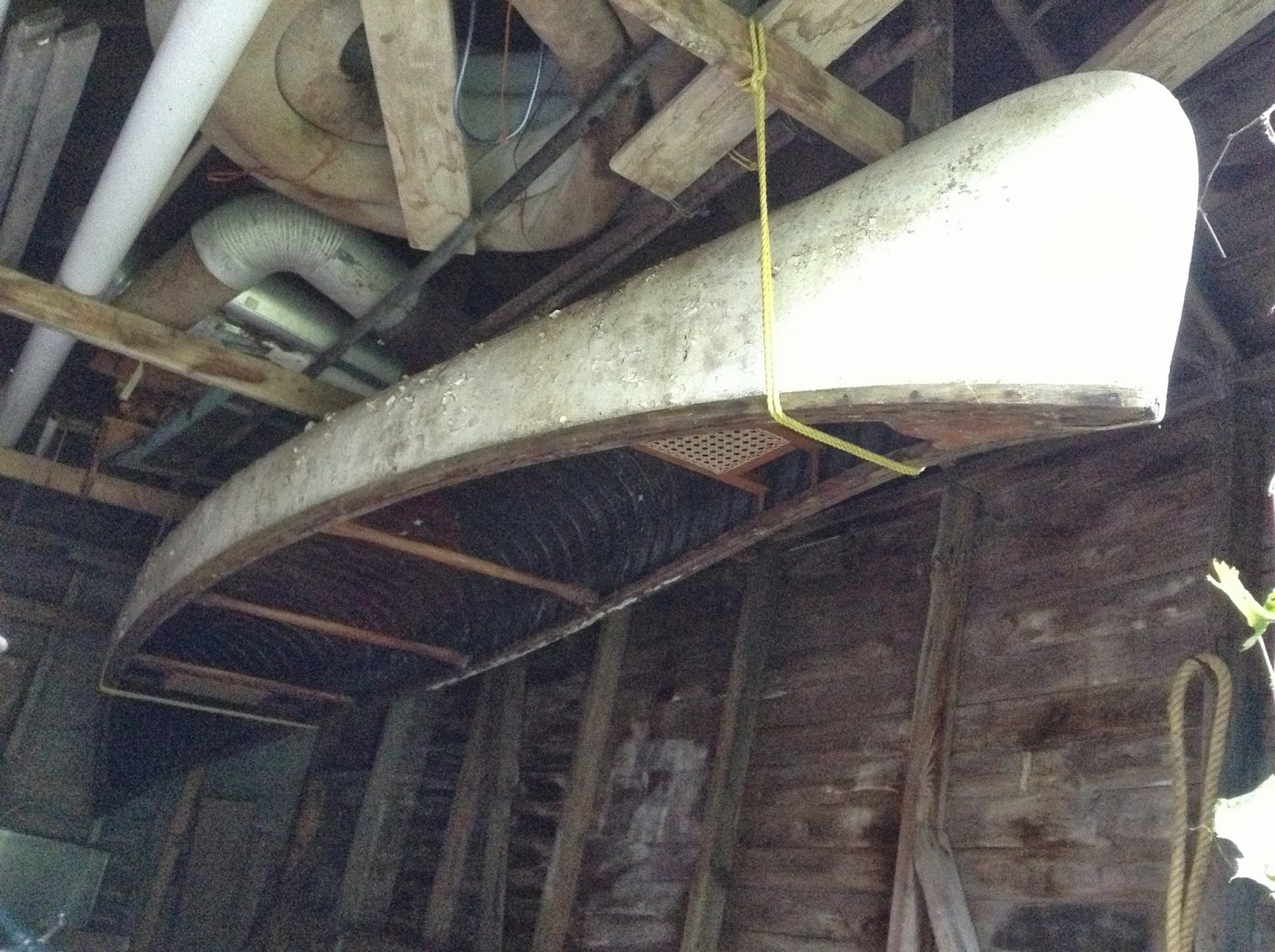 Ravenwood Blog: Early Chestnut Prospector