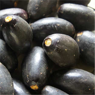 Bulk Soaps and Essential Oils by Casa de Lorenzo