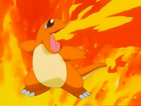 Iniciais de Kanto : Charmander ~ Blog Otpokemon