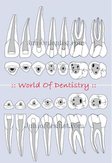 :: World Of Dentistry ::: October 2015