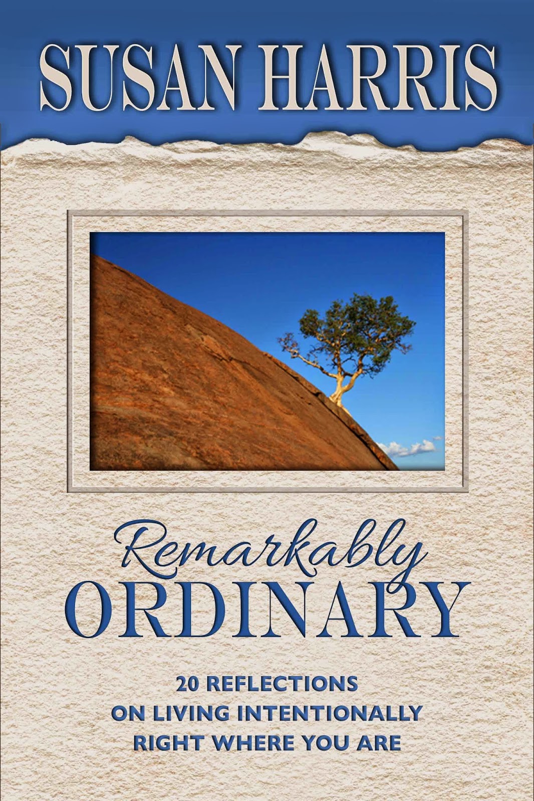 Carol Ann Kauffman's VISION and VERSE : Interview with Author Susan Harris