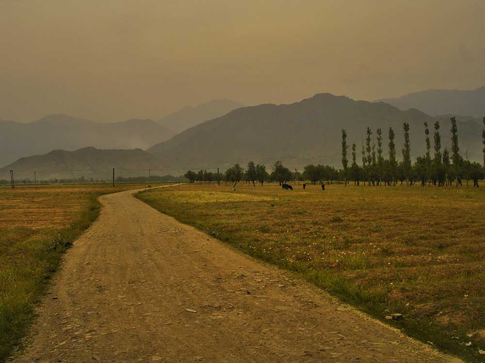 The lost and forgotten Shiva temple at Ladhoo, Kashmir