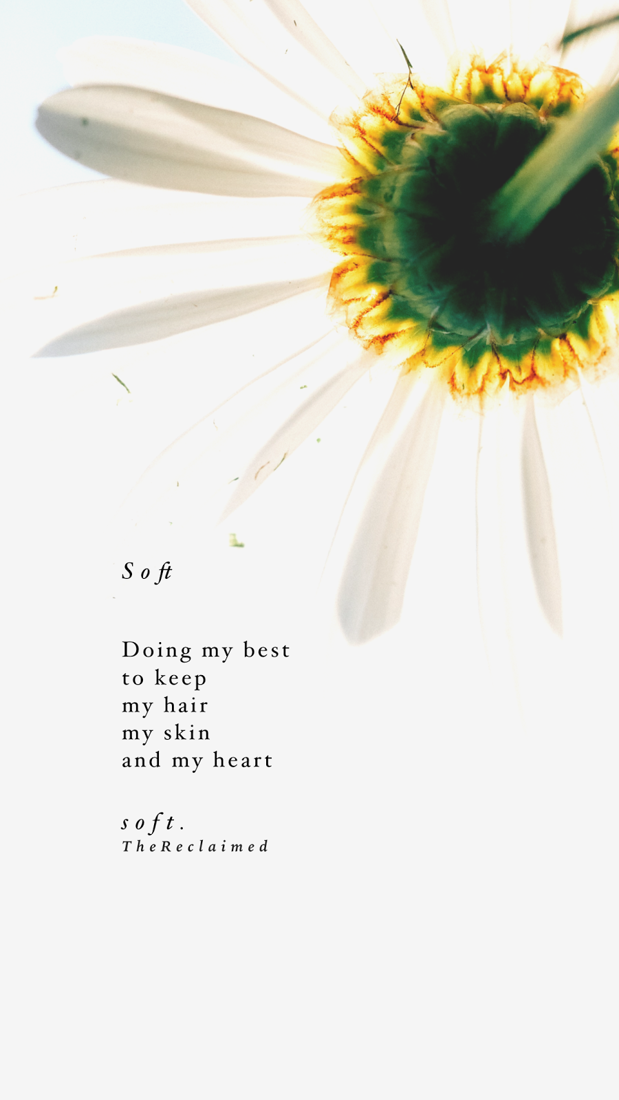 The Reclaimed Heart: Soft