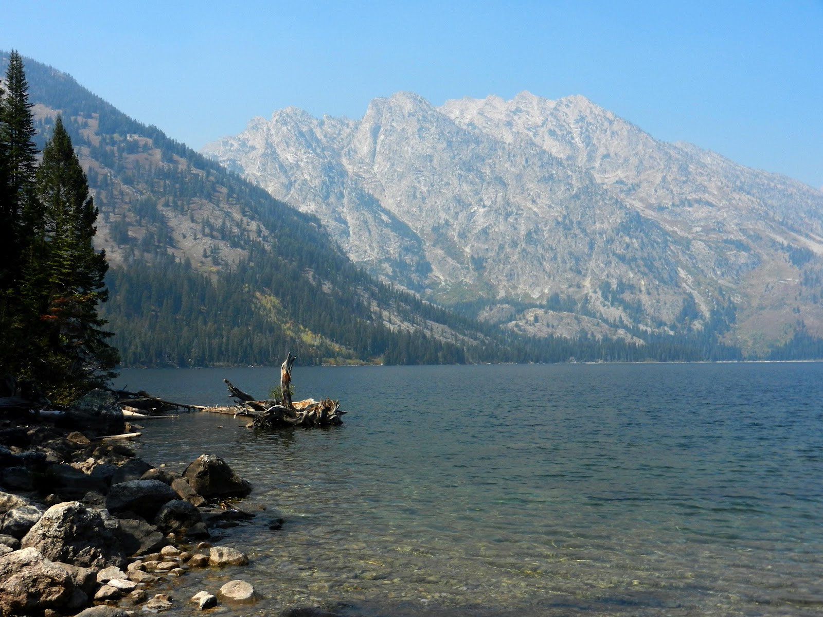 Cat Patches: Moose Ponds Loop Trail