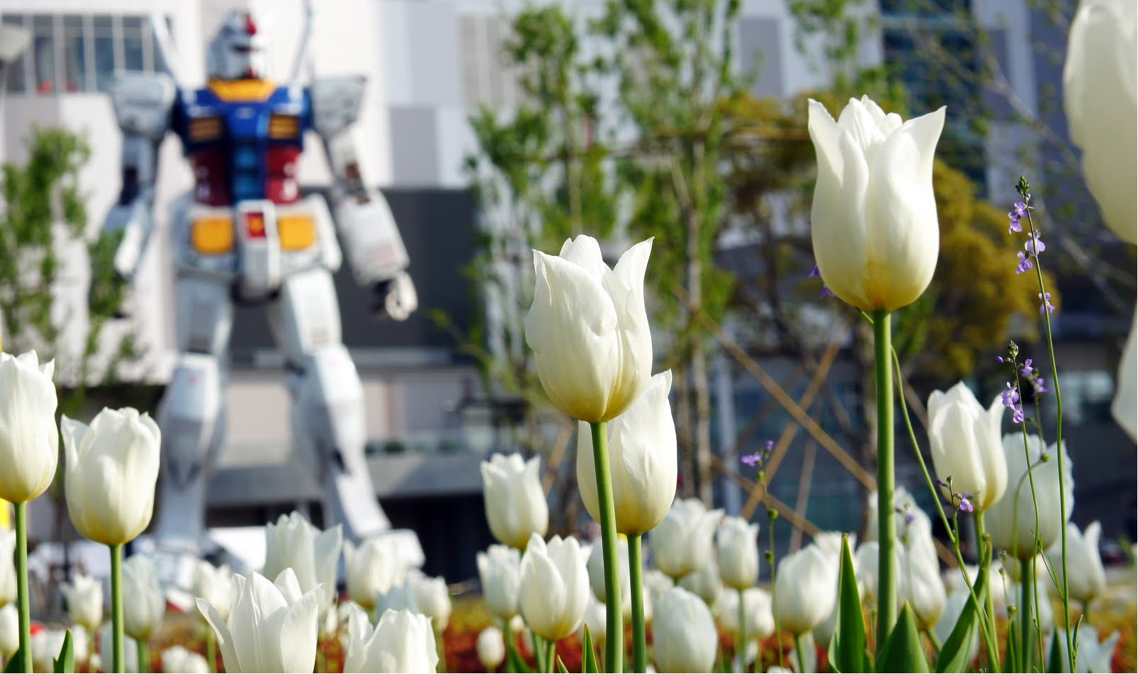 GUNDAM GUY: Gundam Front Tokyo (Odaiba, Japan) - 1/1 Gundam Statue ...