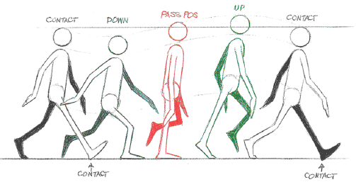 Dominic Noble - Dissertation Blog: Walk cycle - Part 1