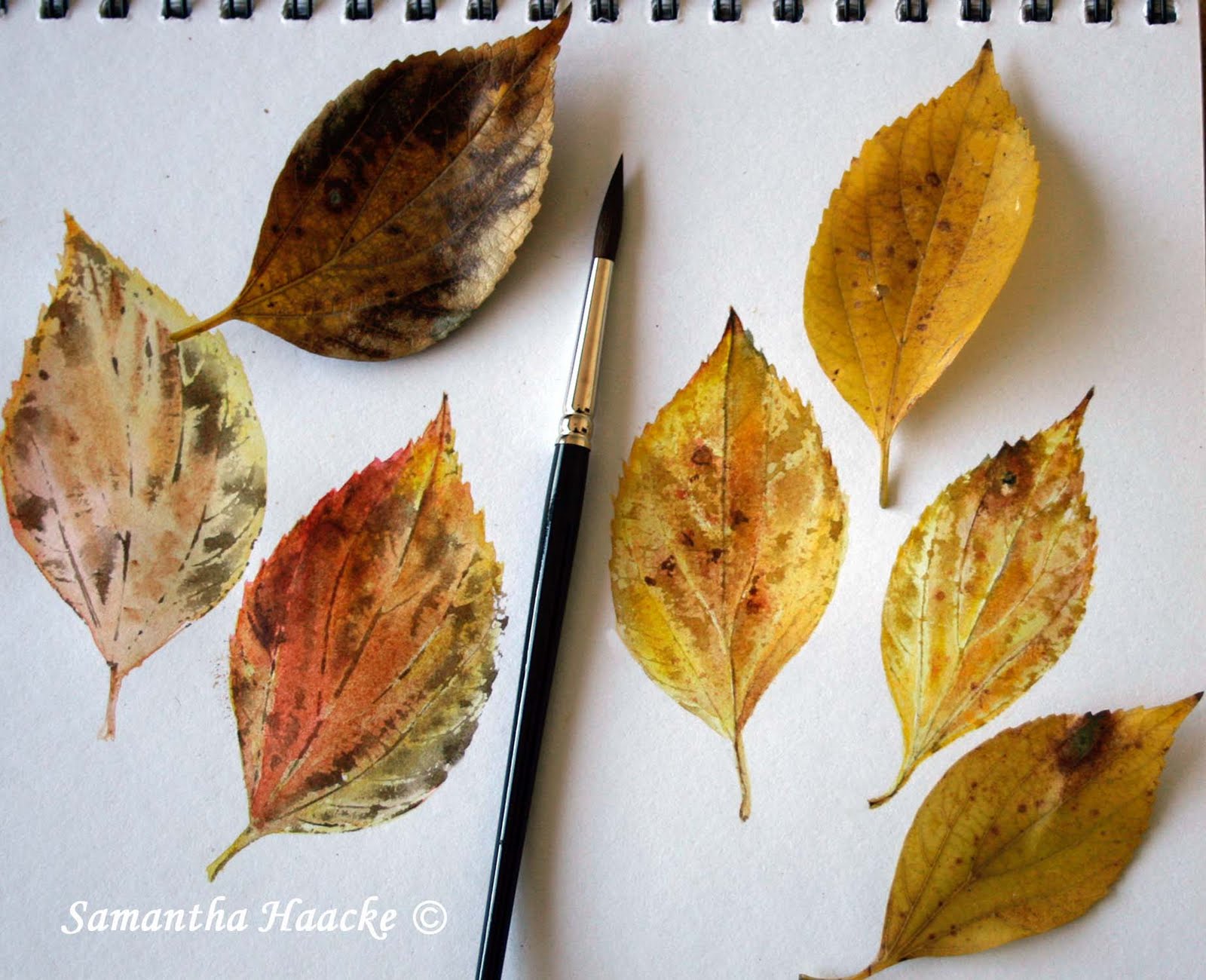 A watercolour journey...: Autumn leaf prints