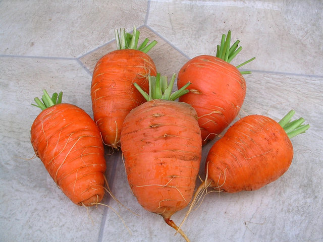 Kilimo cha karoti - sehemu ya kwanza (Growing Carrot - Part one)