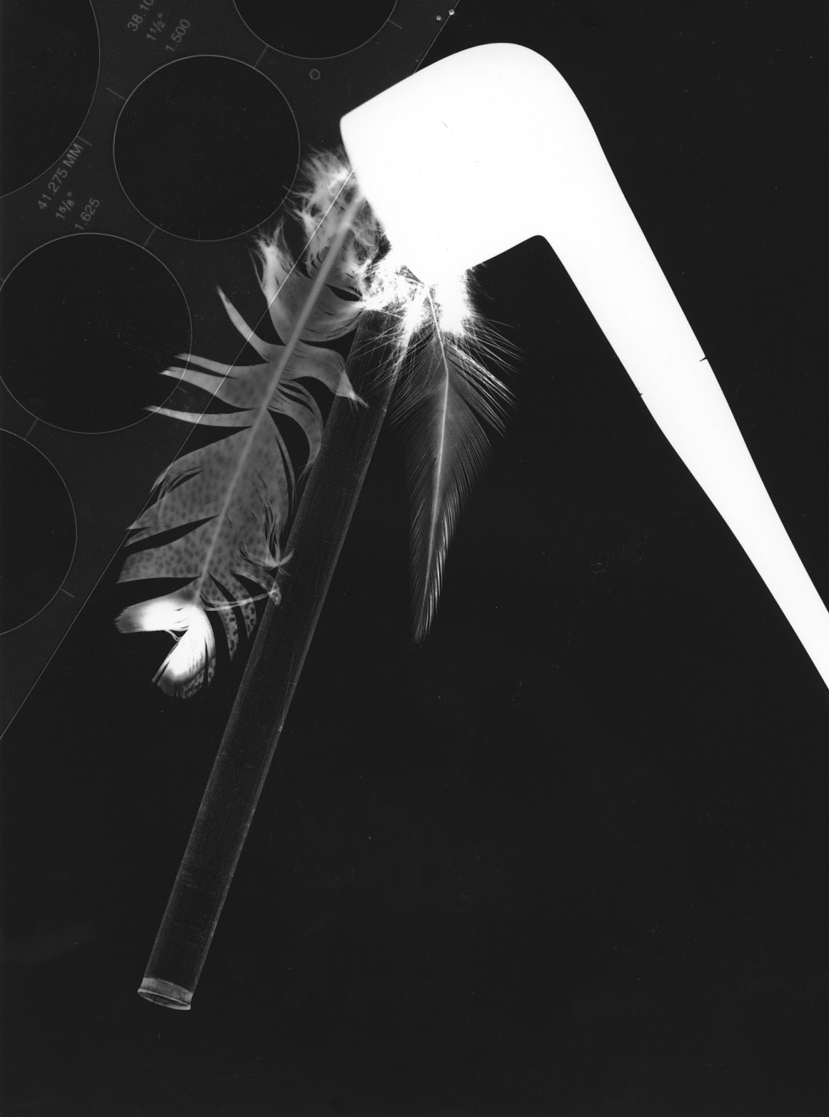 ART 80: Elements of Photography: Examples: Scanograms and Photograms ...