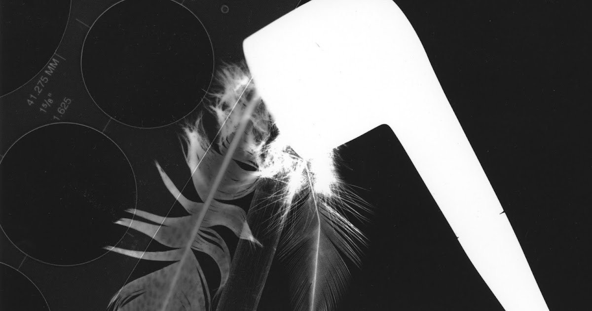 ART 80: Elements of Photography: Examples: Scanograms and Photograms ...
