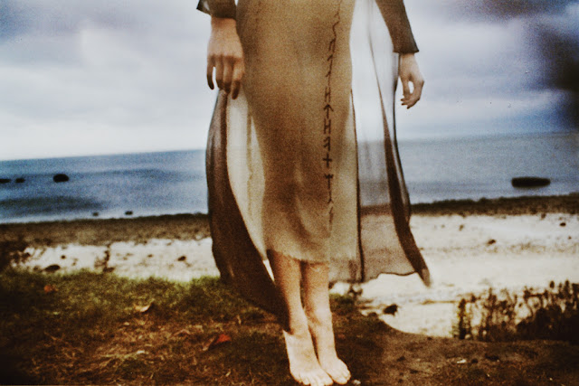 Appendage: Alison Scarpulla - Photography