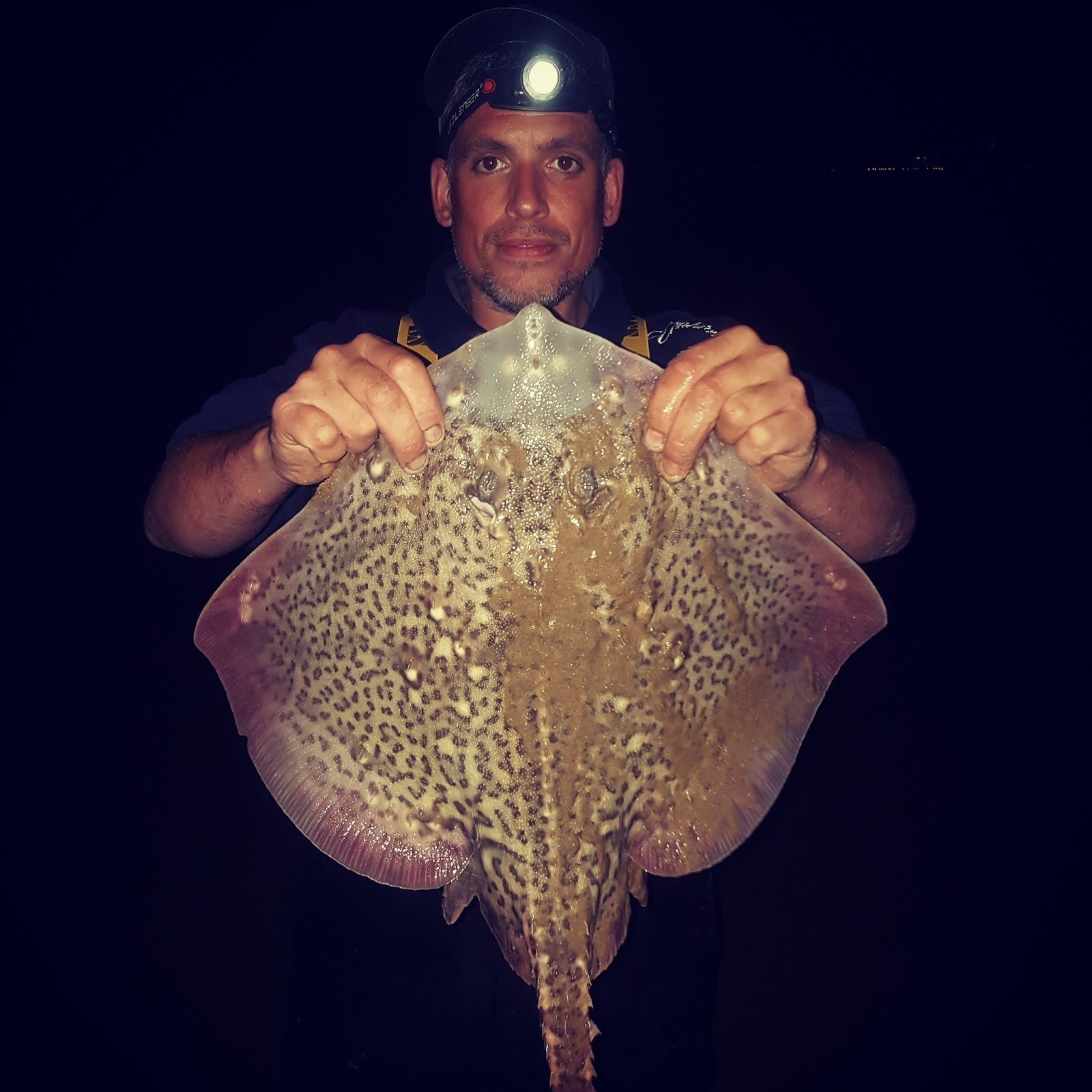 Fish Hooked: Thornback Ray Fishing, Hythe Ranges