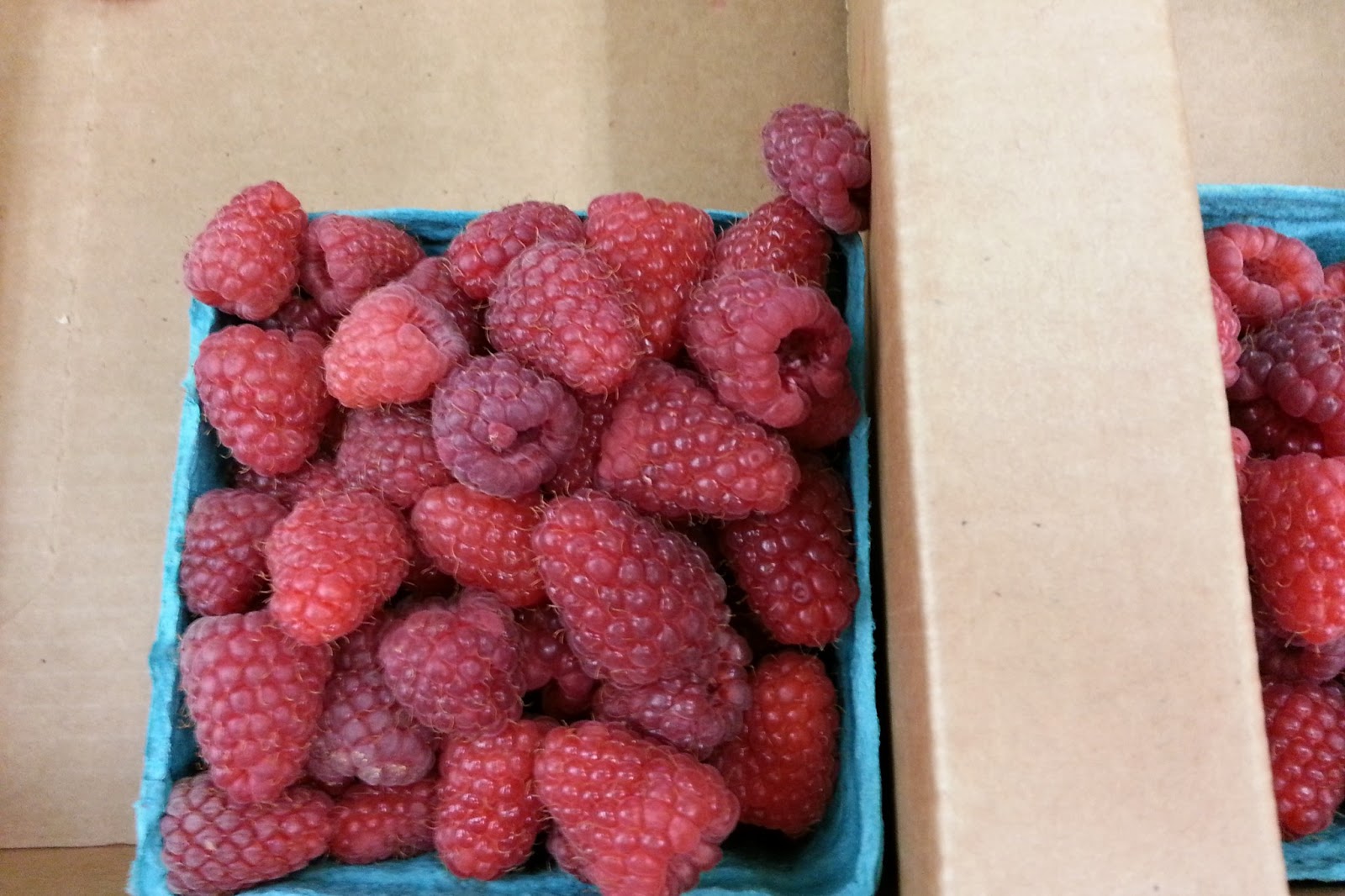 Jamilla Returns - A Lifestyle Blog