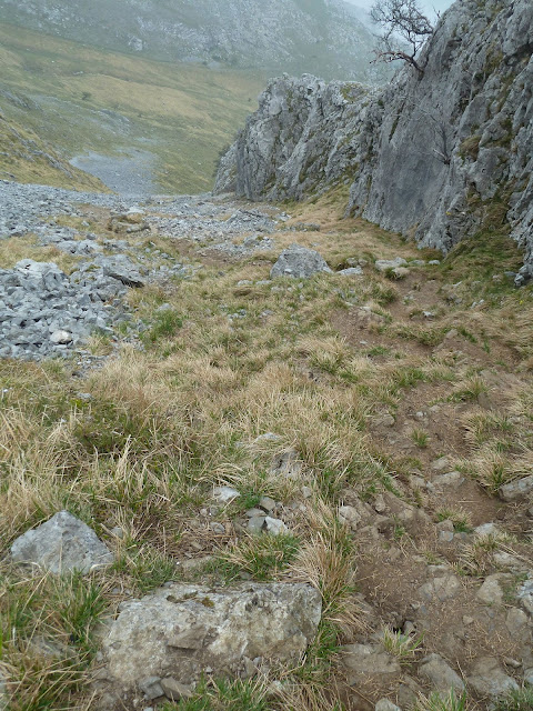 LOS PISACAMPAS: ALLUITZ (1040 mts) Y VUELTA AL AITZ TXIKI DESDE ATXARTE