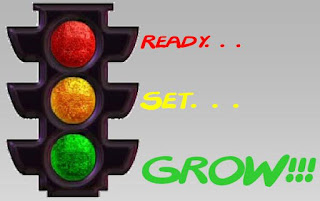 TurnWrite: Ready. Set. GROW!