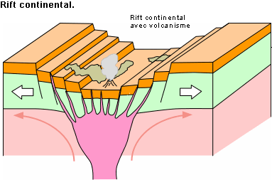 le Monde Volcanosismique : Limites divergente
