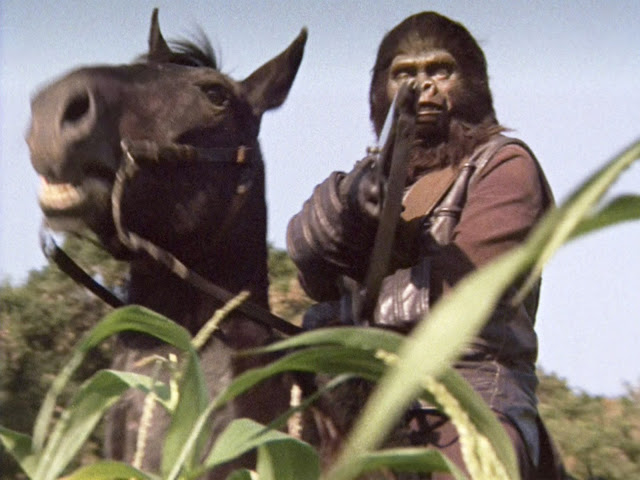 Archives Of The Apes: Planet Of The Apes (1968): The Hunt
