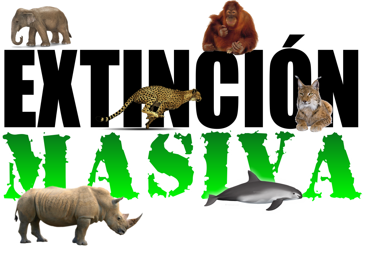 Viviendo con la 6 extinción