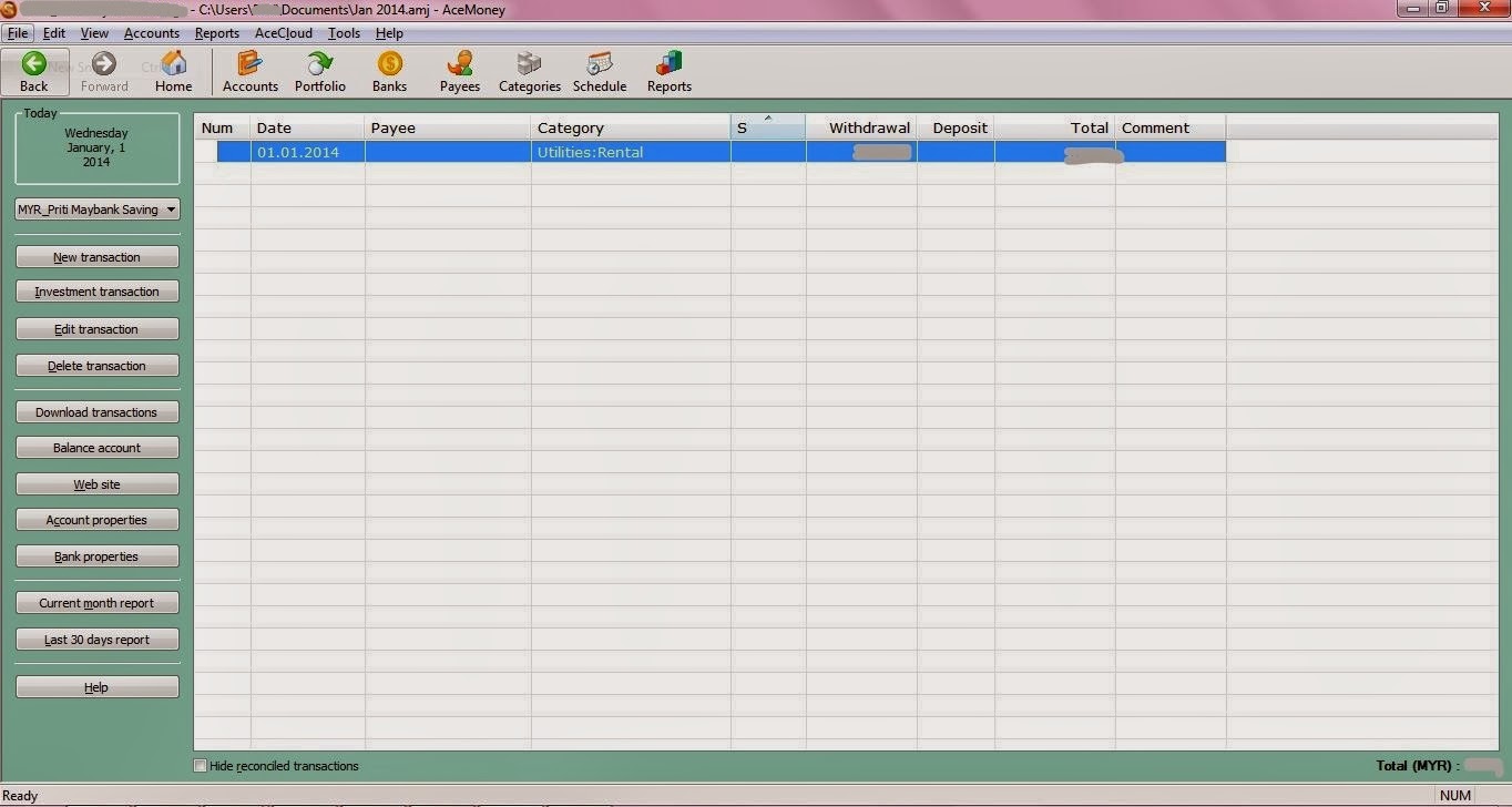AceMoney Vs BankTree - Brocade Blue