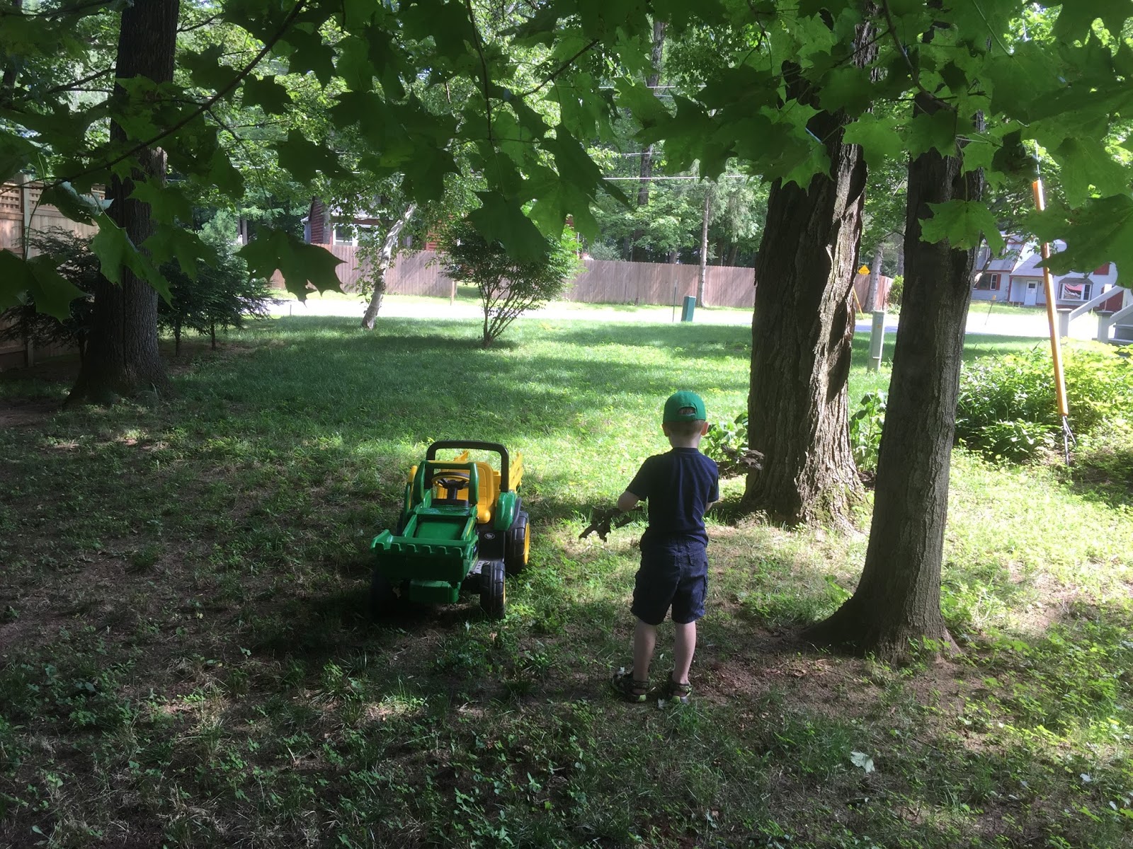 Raining Iguanas: Greenwood Stick Farm