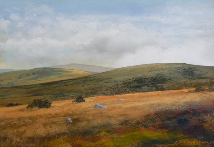 JAMES MARTIN ARTIST - DEVON, UK: New work in April '11. Peak Hill ...