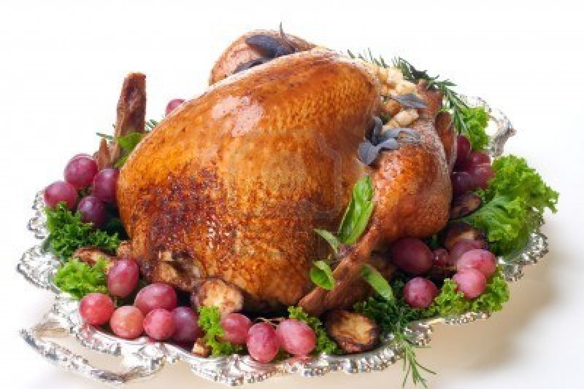 LEKKER RESEPTE VIR DIE JONGERGESLAG: KALKOEN GEREGTE