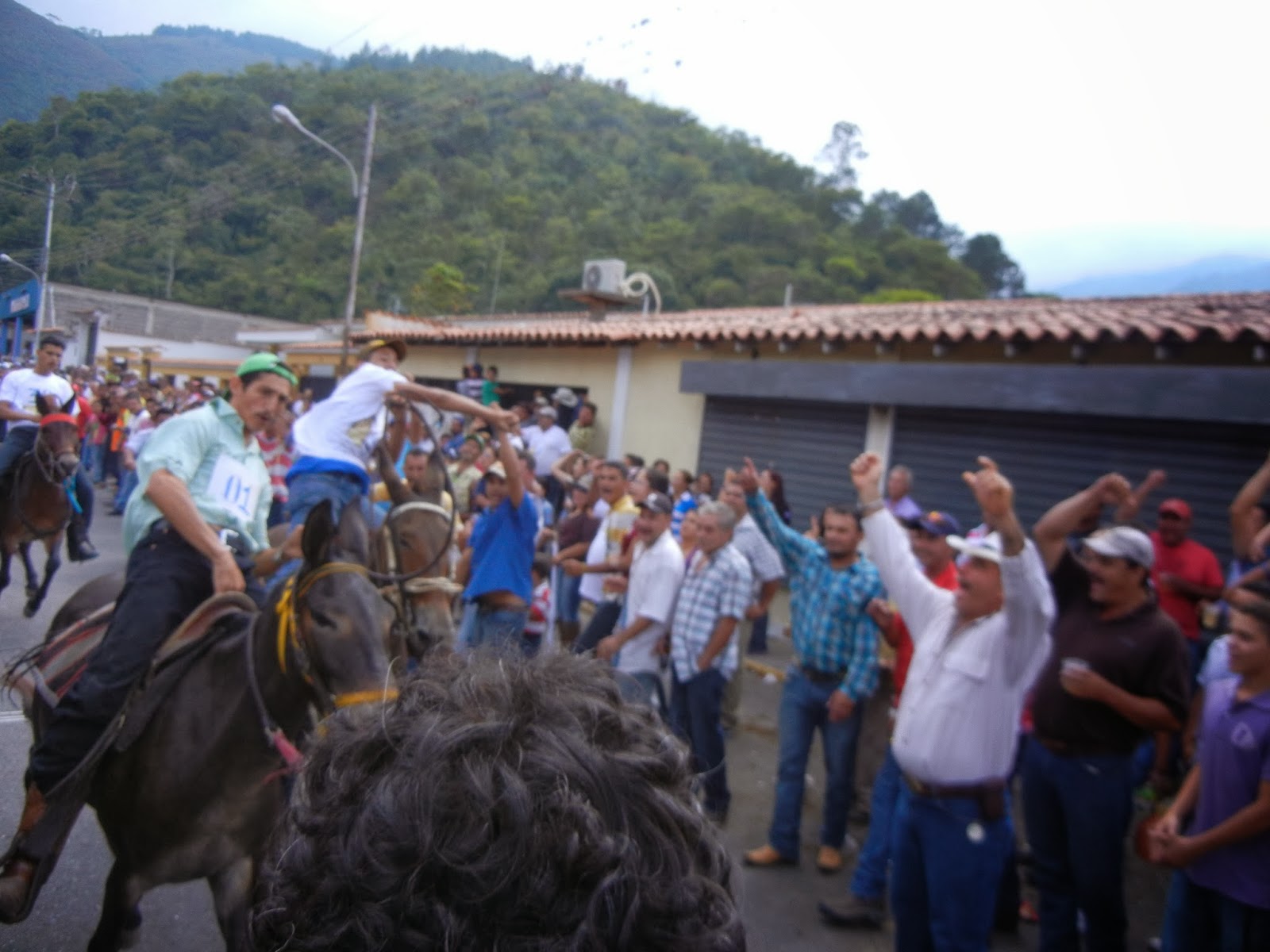 Venezuela de Feria: La tradicionalidad brilló en la Feria de Zea