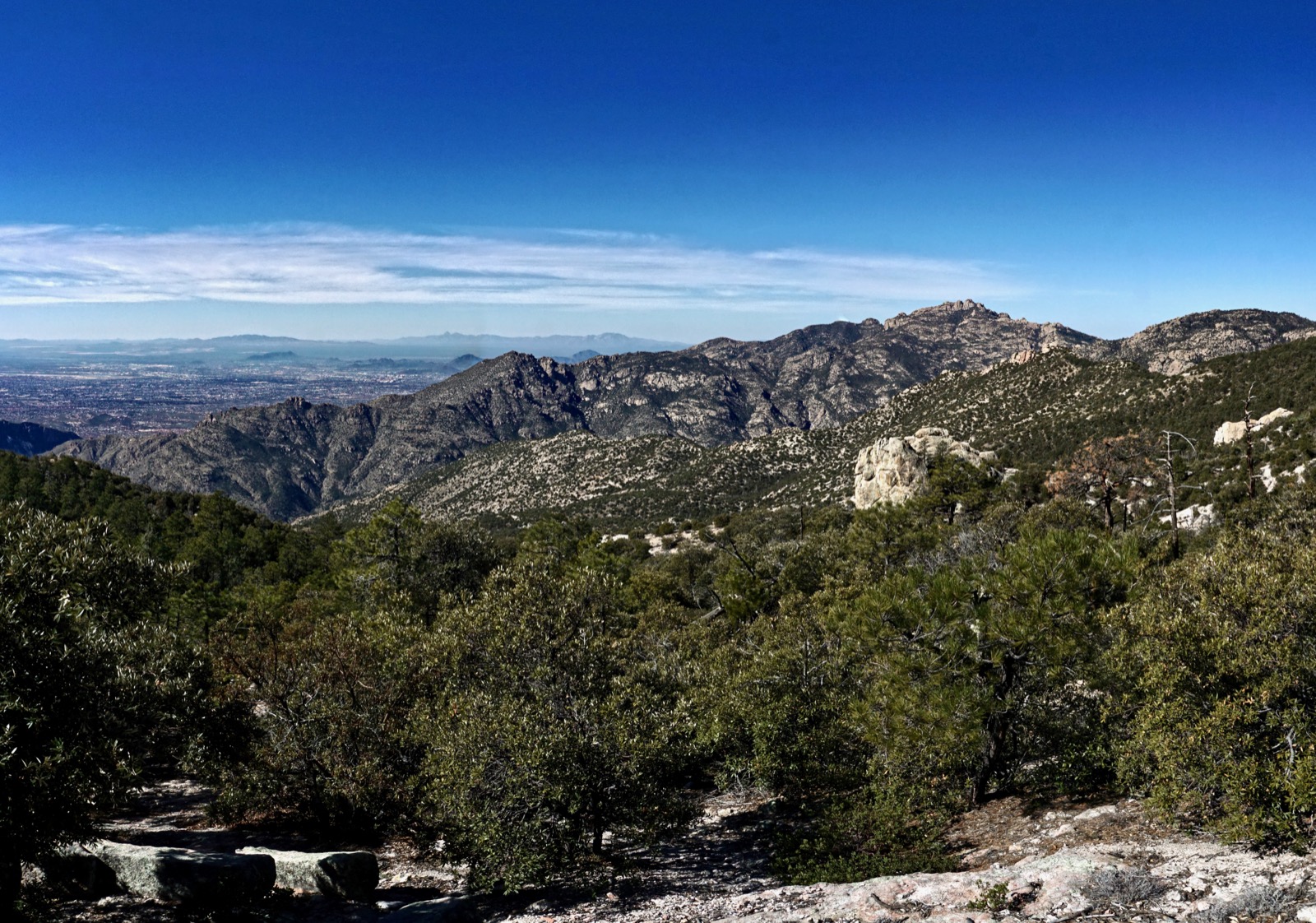 Earthline: The American West: Box Camp Trail, Pusch Ridge Wilderness