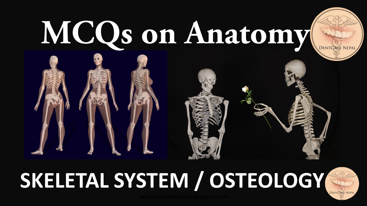 Dentosphere World Of Dentistry MCQs In Anatomy Basic General Dentosphere World Of Dentistry MCQs In Anatomy Basic General
