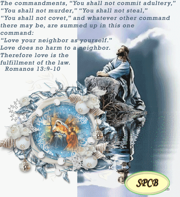 Daily Gospel: December 2014