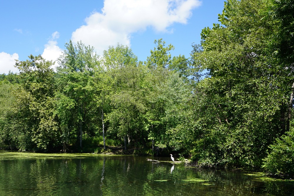 Harriman Hiker: Harriman State Park and Beyond: Lake Henry Loop