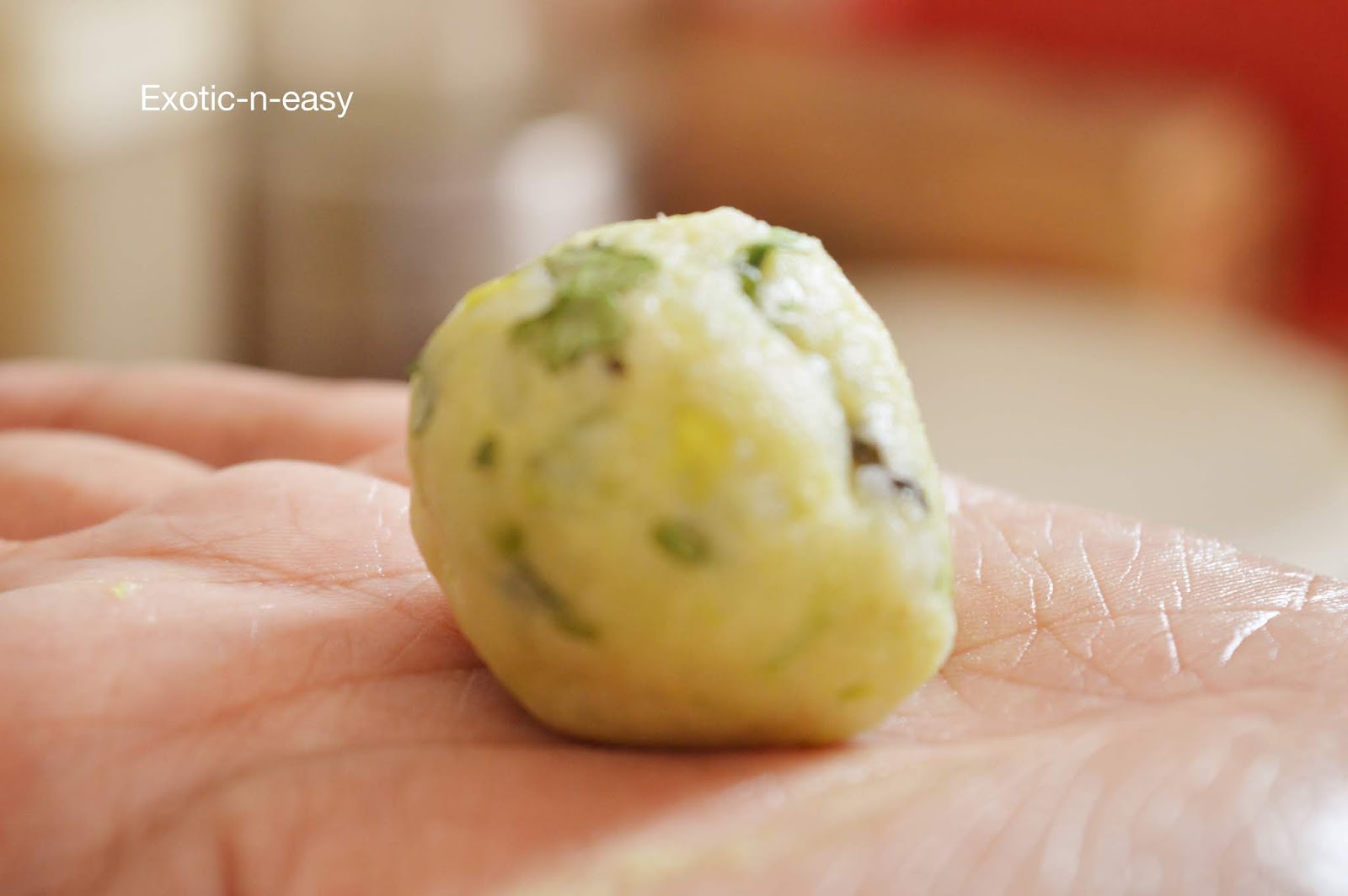 exotic-n-easy cooking: Ginger Garlic Bites