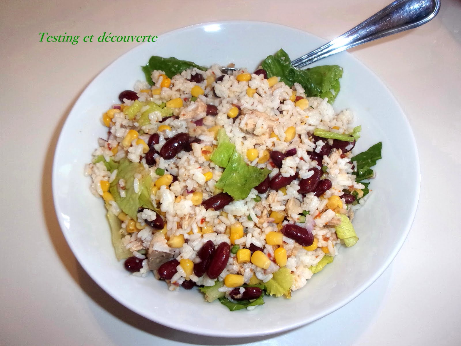 Testing et découverte : Salade de thon, de haricots rouges et de riz