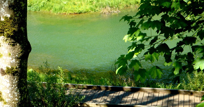 G 2 pieds: Differdange (Terres Rouges, Luxembourg)