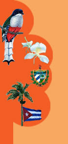 Brigadamedicacubanacomayagua: NUESTROS SIMBOLOS PATRIOS