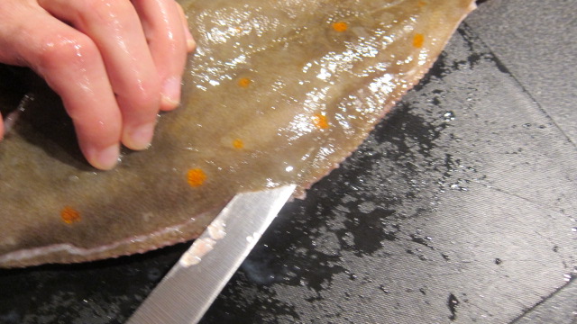 Dalmatian Mom: Filéa plattfisk