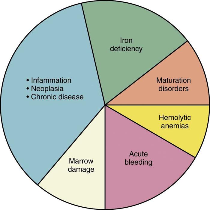 Penyebab Anemia: Gangguan Anemia