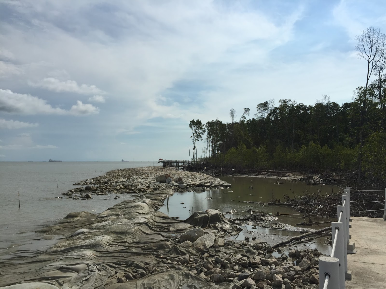 Melawat Tapak Ramsar Tanjung Piai, Pontian, Johor