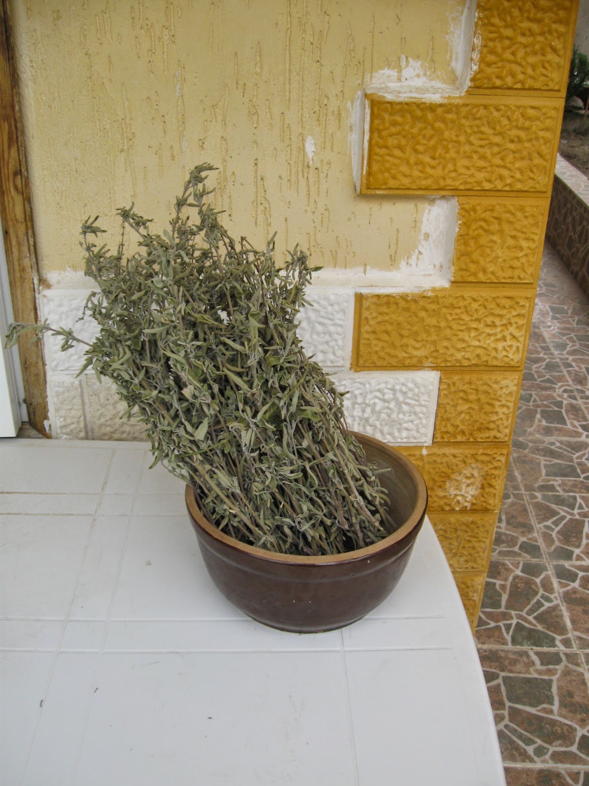 Turcja i ja: Adacayi - herbata z szałwi, kalafior, borek i migdały