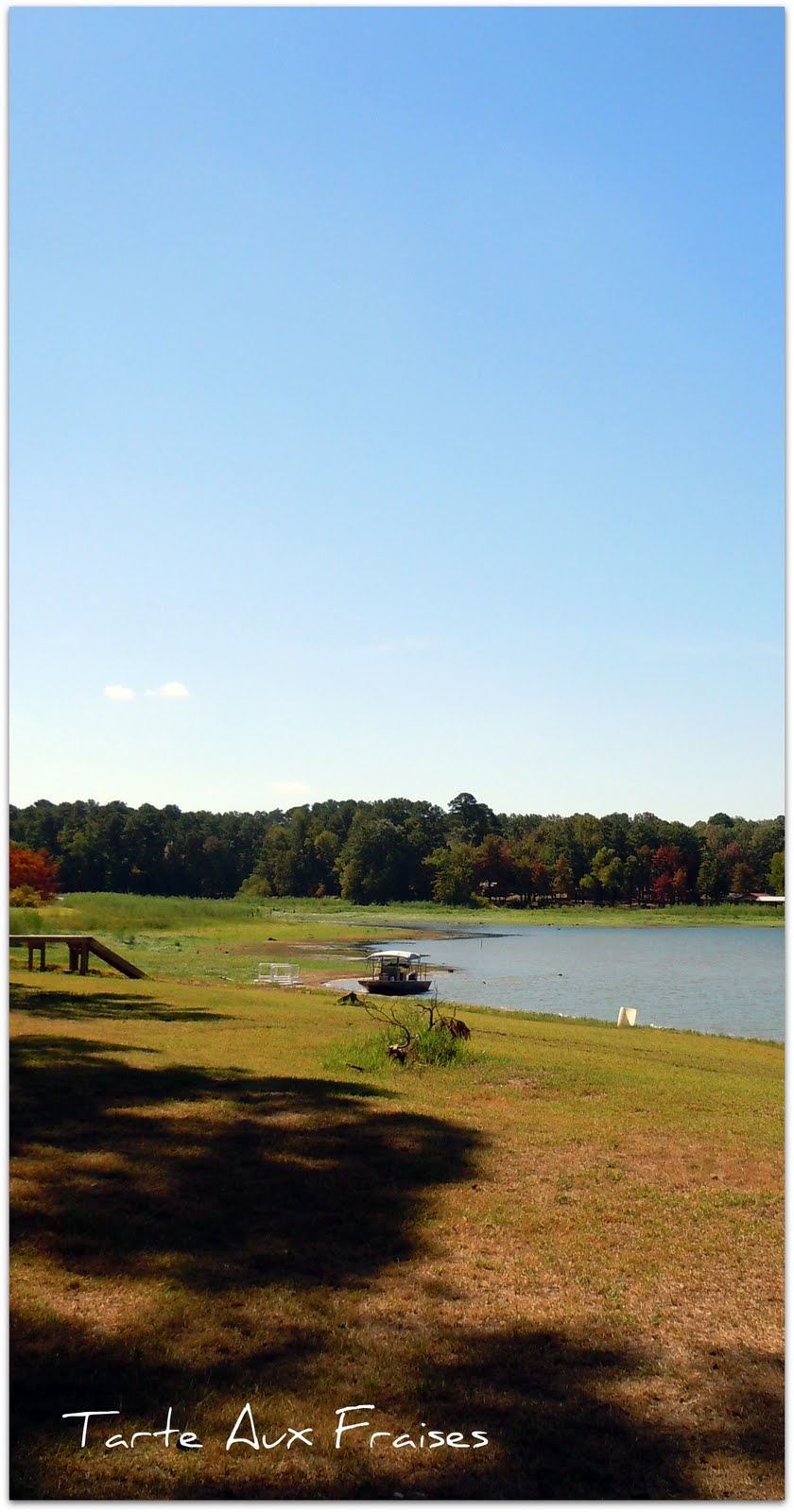 Tarte Aux Fraises: Pendleton Bridge and Toledo Bend Lake