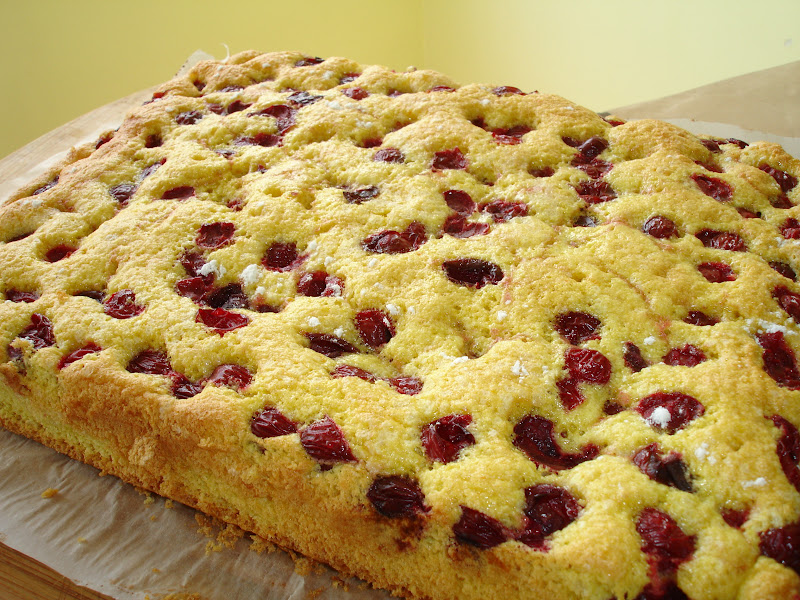 susu: Pandispan cu capsuni/visine